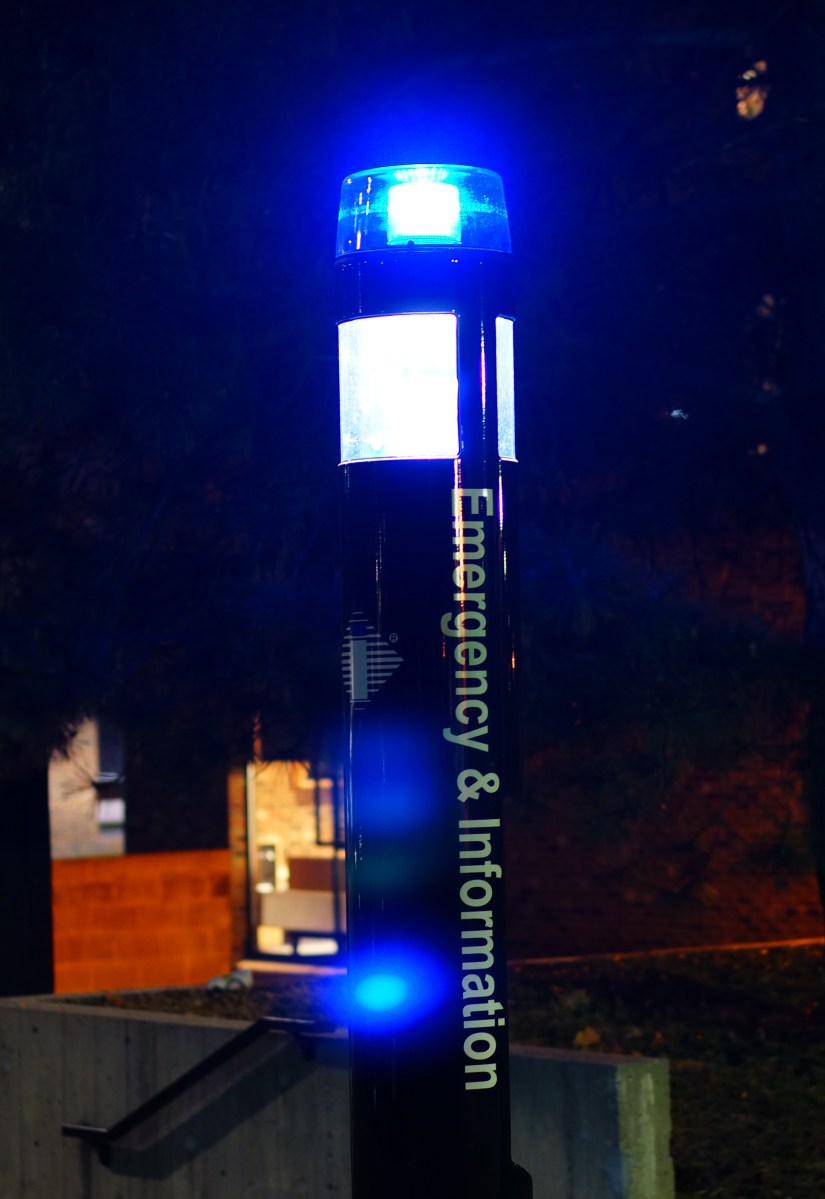 Mystery Object #5: Totem of Emergency Protection +1 | MUSEUM FATIGUE